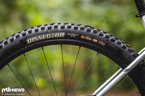 Cube Reaction Tm Pro Mtb Hardtail Im Test Trailspaß In Raw