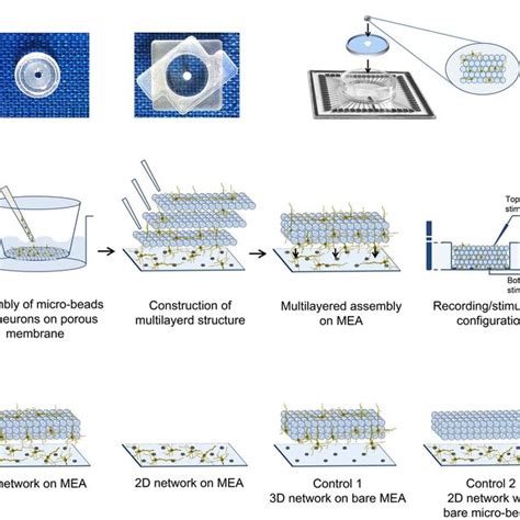 Construction Of 3d Neural Networks A From Left To Right Pdms