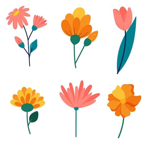Premium Vector Vector Floral Set Leaves And Floral Illustration