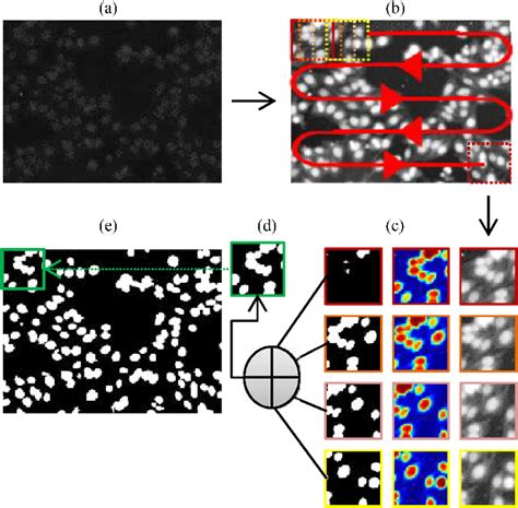 Figure 1 From A New Unsupervised Approach For Segmenting And Counting