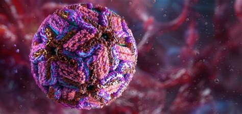 Encephalitis Risk Jev Detected In Moree North West Nsw