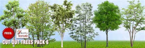 Packs CUT OUT Vegetation Trees CUT OUT TREES PACK 6 00041