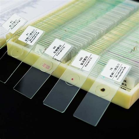 100pcs Box Set Prepared Microscope Speciments Slid Vicedeal