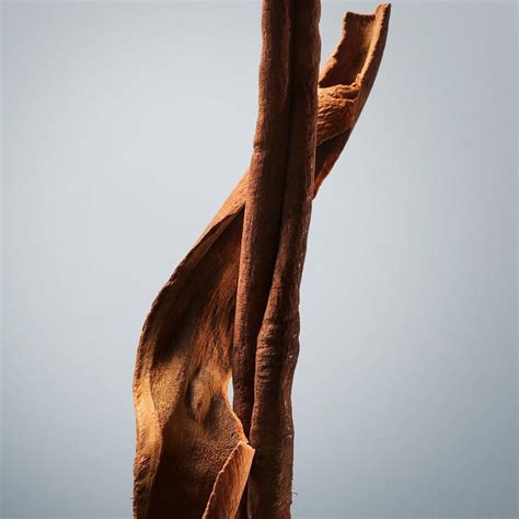 Hugo Boss Bottled Eau De Toilette Ml Buy Best Price Global Shipping