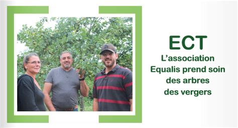 Ect Et Mag Journal 77 Groupe Ect