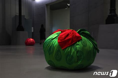 보따리 작가 김수자 韓작가 최초 파리 피노컬렉션 카르트 블랑쉬 네이트 뉴스