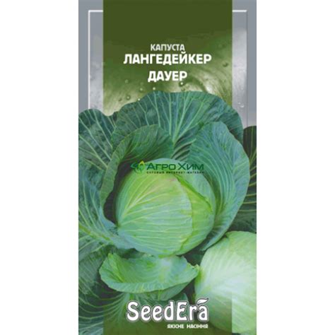 Семена капусты Лангедейкер Дауер 1 г оптом в интернет-магазине agro-him ...