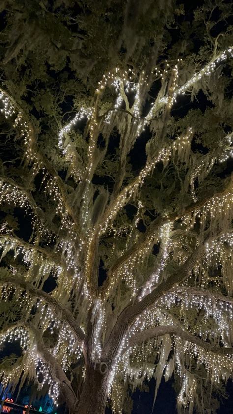 Favorite New Lulu Arrivals Lilly Im Selling Sweet Southern Prep