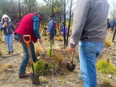 Edomex Por Sequía Incendios Y Tala Atenderán Casi 10 Mil Hectáreas