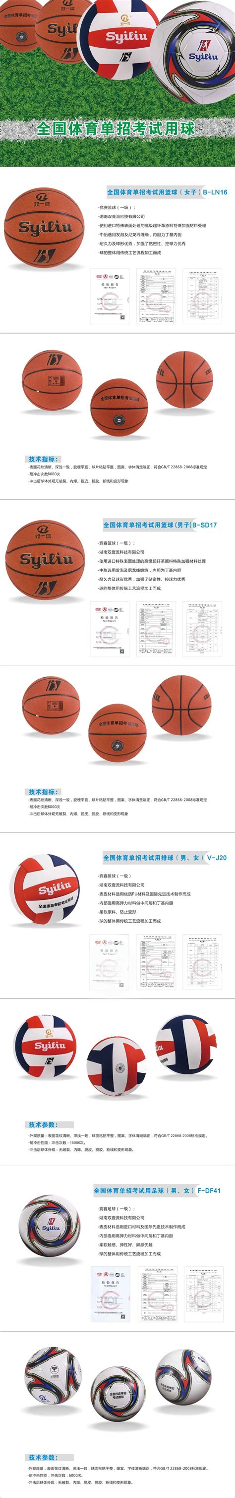 2024年体育单招三大球考试用球标准 诚体教育