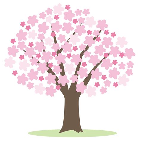 満開の桜の木 Ziu Illustration