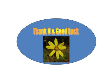 11cranial Nerve 8 Vestibulo Cochlear Ppt Brain And Nervous System Disorders Diseases And