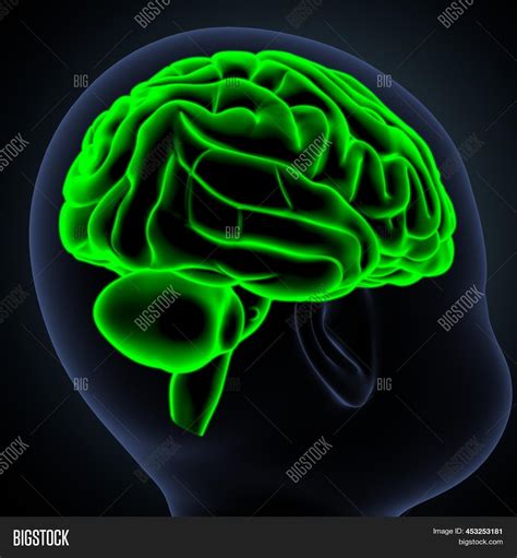 Imagen Y Foto 3d Illustration Prueba Gratis Bigstock