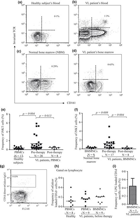 Invariant Natural Killer Inkt Cells Are Significantly Increased At