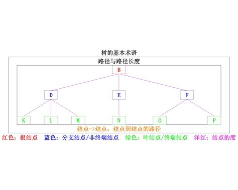 【数据结构】树与二叉树——树的基本概念 Csdn博客