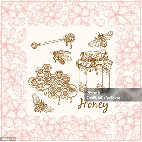 꿀 꿀벌 벌집 항아리 세트 꽃 프레임 그래픽 핸드 드로 스케치 스타일의 벡터 그림입니다 선형 아트 유기농 건강 식품 로고 라벨 카드 및 브로셔용 제품 고풍스런에 대한 스톡