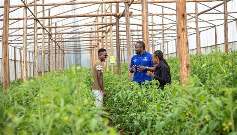 Tetra Tech International Development On Linkedin Bridging The