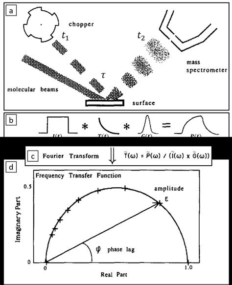 1 A A Simplified Modulated Beam Relaxation Spectrometry Mbrs Download Scientific Diagram