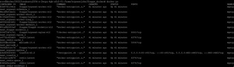 Erpnext Install Via Docker Running But No Response Deployment