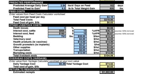 Beef Cattle Budget Spreadsheet Google Spreadshee Beef Cattle Budget