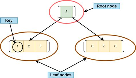 What Is B Tree And B Tree In Data Structure Diagram