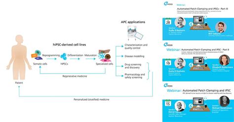 Revolutionizing Ipsc Research With Automated Patch Clamp