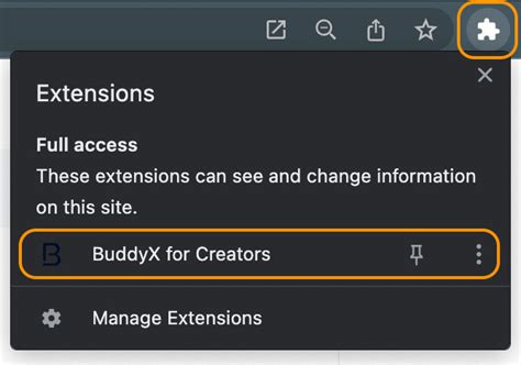 chrome store issue buddyx