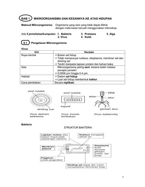 Notes On Nota Sains Form Notes Myprivatetutor Malaysia