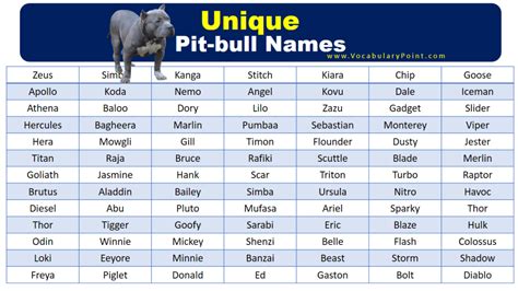 Best Cool Pitbull Names Strong Unique And Trendy Picks For Your Dog