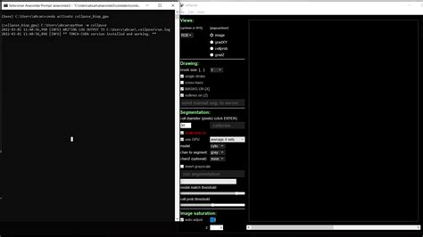 TrackMate Cellpose Not Working Usage Issues Image Sc Forum