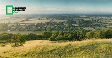Unraveling Natures Rhythms Understanding Prolonged Seasons And Climate Variability