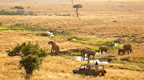Lewa Wildlife Conservancy Nairobi National Park Kenya Safaris Tours