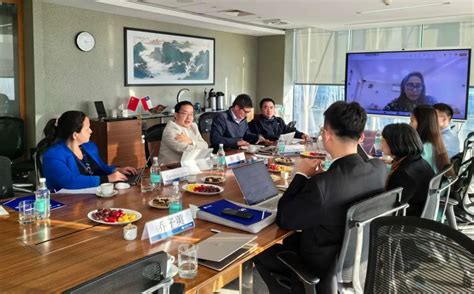 清华大学拉美中心团队赴国家电网智利电力 CGE公司开展减贫实践调研 清华大学拉美中心