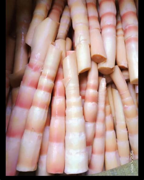 ရာသီပေါ် ရာသီပေါ် အသီးအနှံနှင့် အစားအစာများ