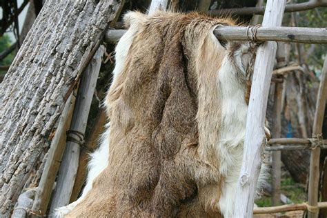 The Stone Age Morning Topic Activities Twinkl Imagine Ks1 And Ks2