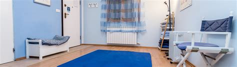 Početna Shiatsu Zlatne Ruke Shiatsu Rijeka