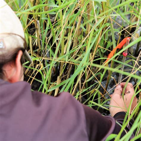 Research Areas Lumcon Website