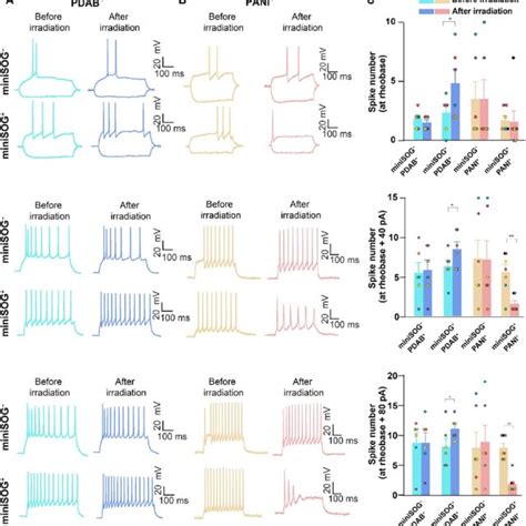 Current Injection Evoked Spikes Characterization Before And After Download Scientific Diagram