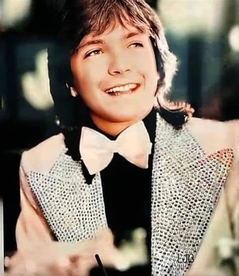 Pin By Gwen Mitchell On David Cassidy David Cassidy City Boy Singer
