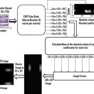 Comparison Among Morse Amor And Bump Wavelets Download Scientific Diagram
