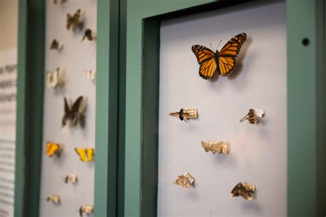 Tennessee Pollinators Adventure Science Center