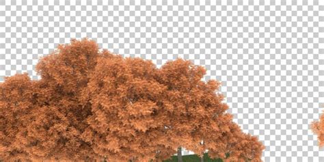 Лес на прозрачном фоне 3d рендеринг иллюстрация Премиум Psd Файл