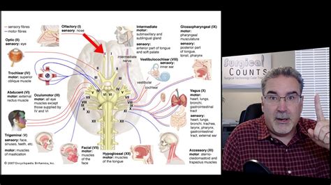 Surgical Technology Preview Neurosurgery Youtube
