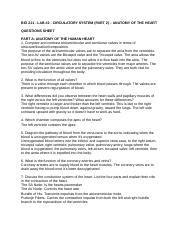 Bio Lab Docx Bio Lab Circulatory System Part Anatomy Of The Heart Questions