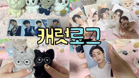 캐럿로그 캐럿 브이로그 원우 포카 준등기깡 유니버셜 세븐틴 민규 특전 우리집 새식구 먼지 헉슬리 새로운 뮤즈 원우 Youtube