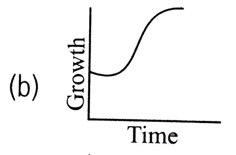 Which One Is The Correct Graph For Arithmetic Growth