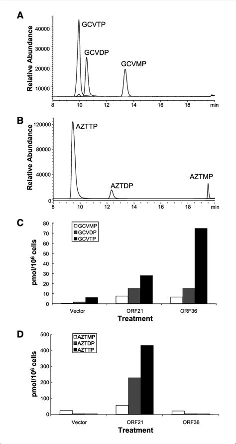 Representative Rp Hplc Chromatograms Showing The Separation Of The