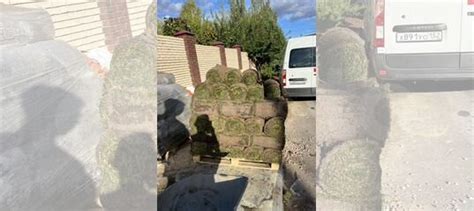 Рулонный газон под ключ купить в Нижнем Новгороде | Товары для дома и ...