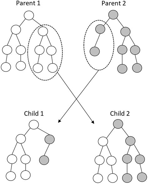 4 Crossover In Genetic Programming Copies Of Parents Exchange Download Scientific Diagram