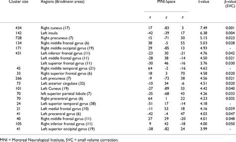 brain areas with negative correlation between regional gray matter